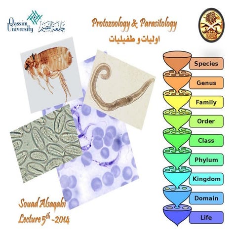 Parasitology lecture 5 | PPT
