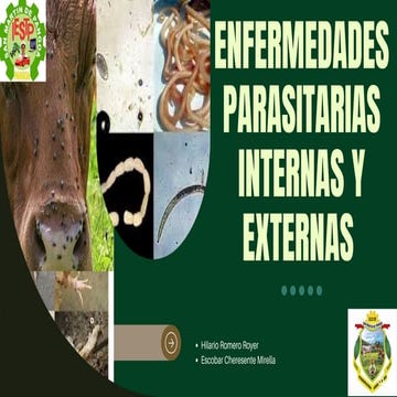 PARASITOS INTERNOS Y EXTERNOS EN ANIMALES.pdf