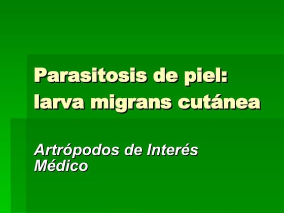 Larva migrans cutánea y visceral | PPTX