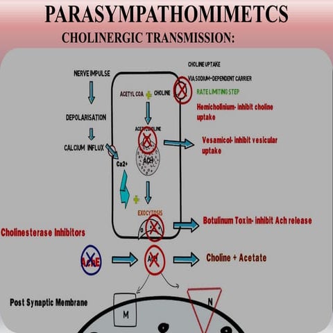 Parasympathomimetcs ; Cholinomimetics , Parasympathomimetics ;Anti ...