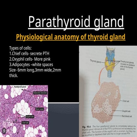 Parathyroid gland.pptx it is a interactive pptx | PPTX