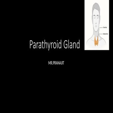 Parathyroid glands/endocrine system/microteaching | PPTX