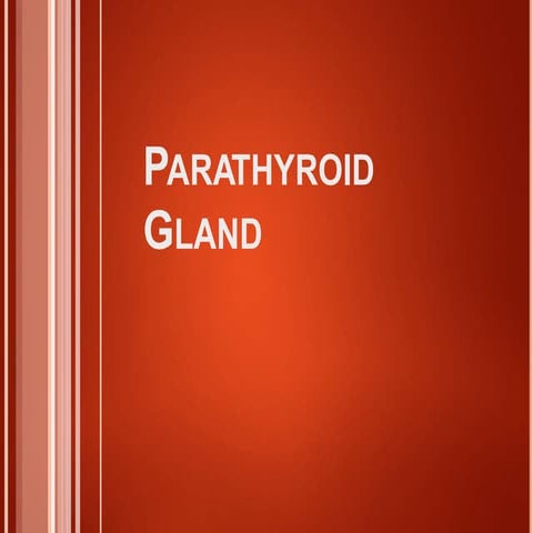 Anatomy - parathyroid glands | PPTX