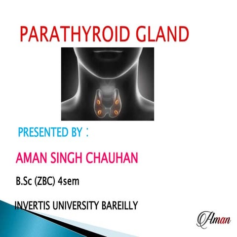 Parathyroid gland by aman chauhan | PPT