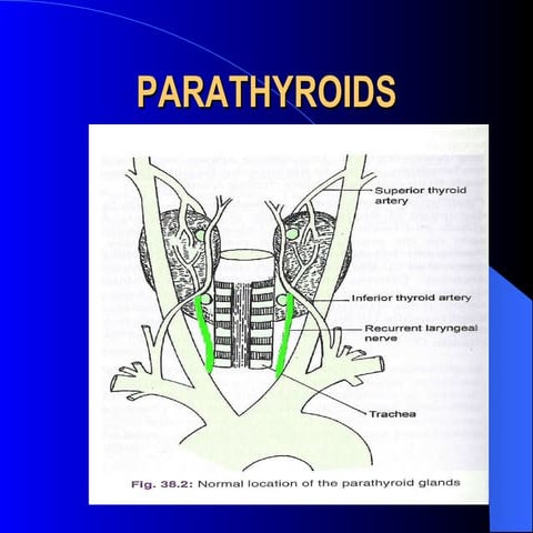 Parathyroids | PPT