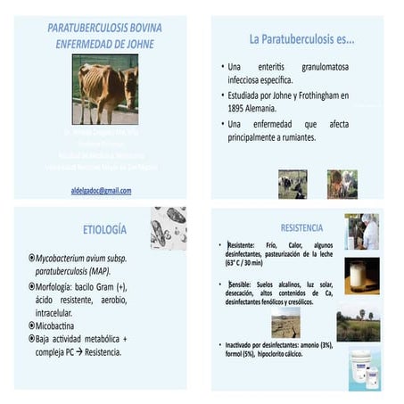 Paratuberculosis bovina | PDF