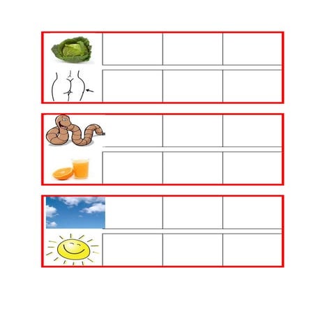 Etapes escriptura | PDF