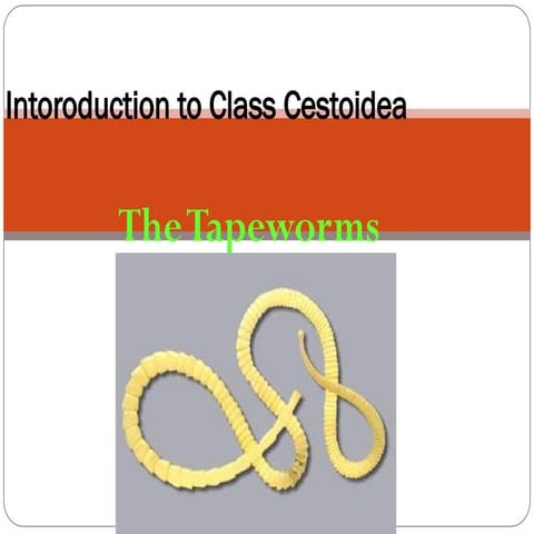Classification of cestodes | PPT