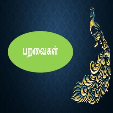Paravaigal | PPT