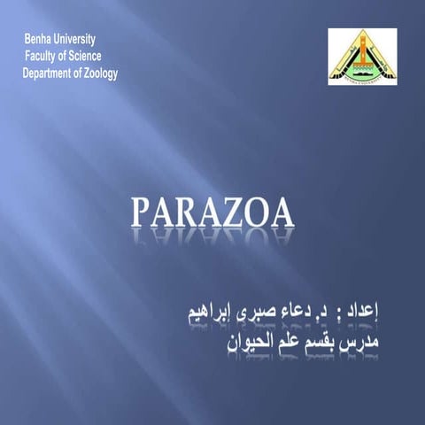 Parazoa | PPTX | Biological Sciences | Science