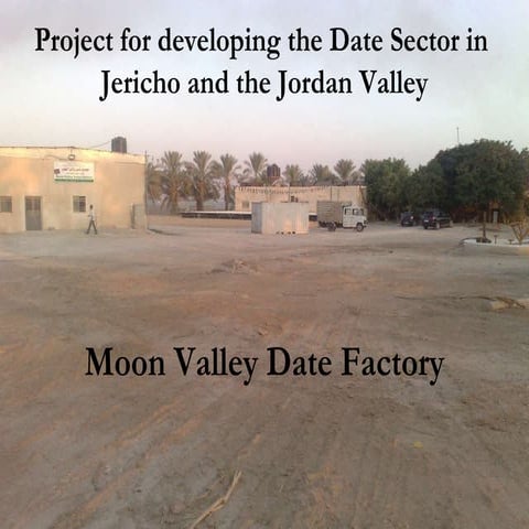 Project for developing the Date Sector in Jericho and the Jordan Valley ...