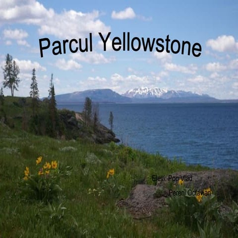Parcul Yellowstone | PPT