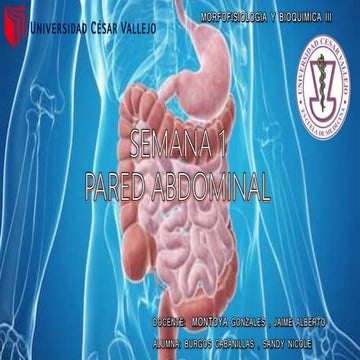 ANATOMIA DE ESPACIO INTERCOSTAL Y MEDICIÓN DE PULSO ARTERIAL | PPTX