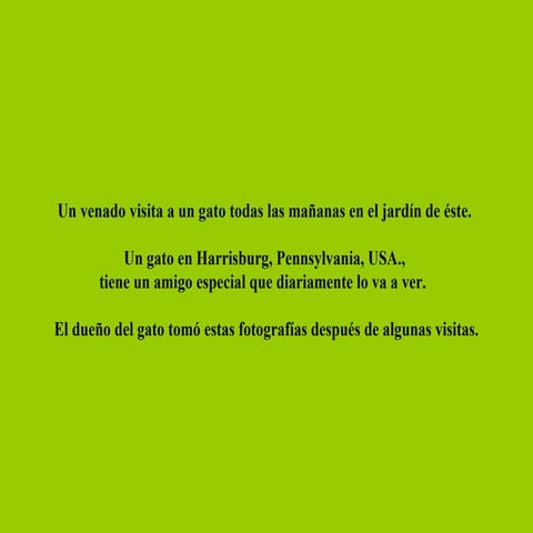 Parejas disparejas[1] | PPS