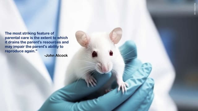 parental care in animals and their adaptation.pptx