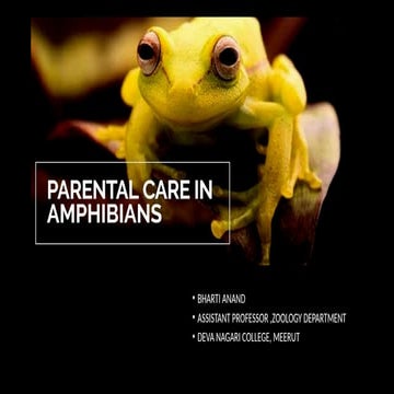 PARENTAL CARE IN AMPHIBIA.ppt, M.Sc 2nd Semester | PPT