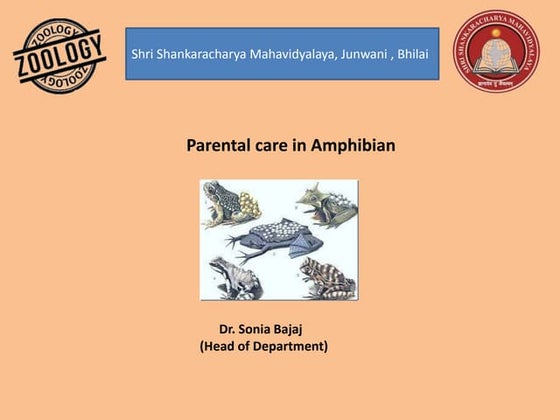 Parental care in Amphibians | PPTX | Parenting Babies and Toddlers ...