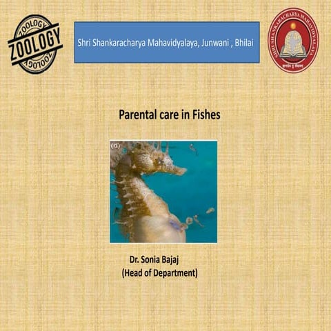 Parental care in fish | PPTX