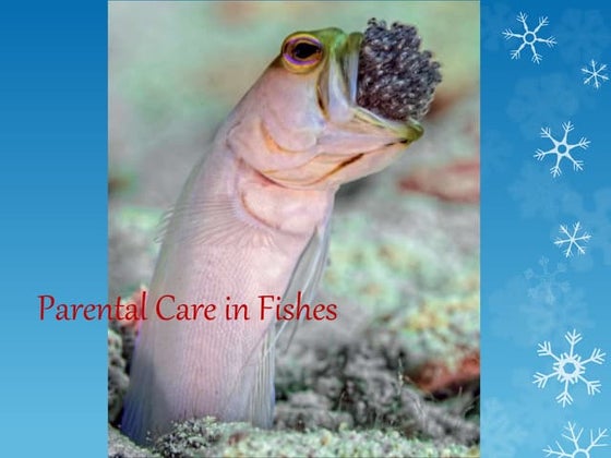 Fish reproduction | PPT