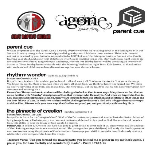 Parent cue vol 3 | PDF