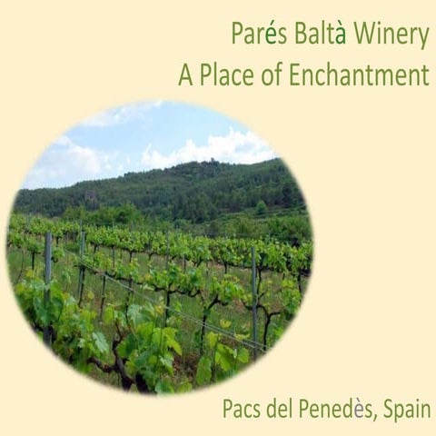 Pares Balta Winery, Spain | PPTX | Alcoholic Beverages | Food & Drink