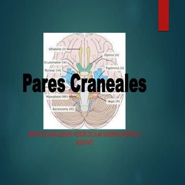 Pares Craneales, Emanuel Moreno Hernández.pptx