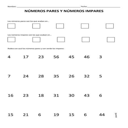 Hojas De Trabajo De Pares E Impares Para Primer Grado
