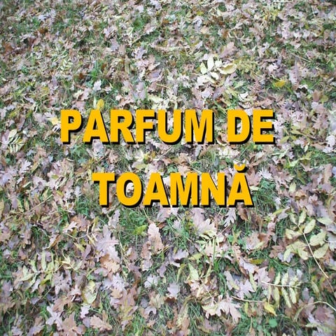 Parfum De Toamna | PPT