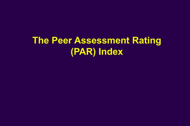 Bsp bpe guidelines_2019 | PDF