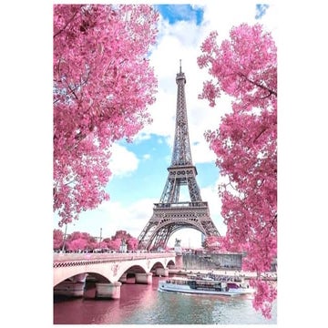 PARIS SYSTEM FOR URINE CYTOLOGY paris system of reporting urine ...