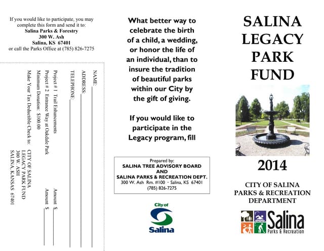 City of Salina Flyer-Peddler/Solicitor Licenses | PDF