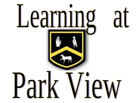 Student Observation Presentation For E 200 | PPTX
