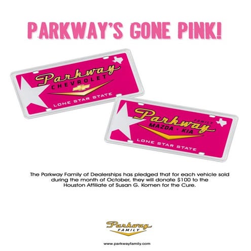 Parkway susan komen 3 | PDF | Cancer | Diseases and Conditions