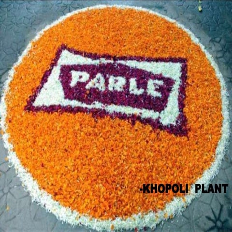 Lays chips- production process | PPTX