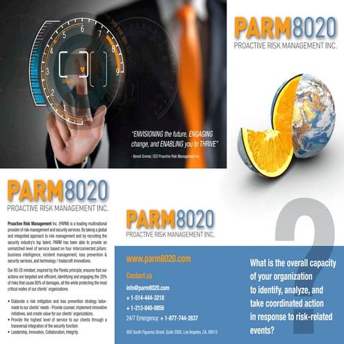 Protiviti-Governance-Portal-Client-Insights | PDF