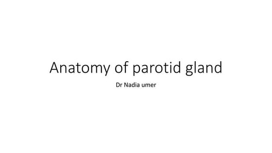 Anatomy of parotid gland | PPTX