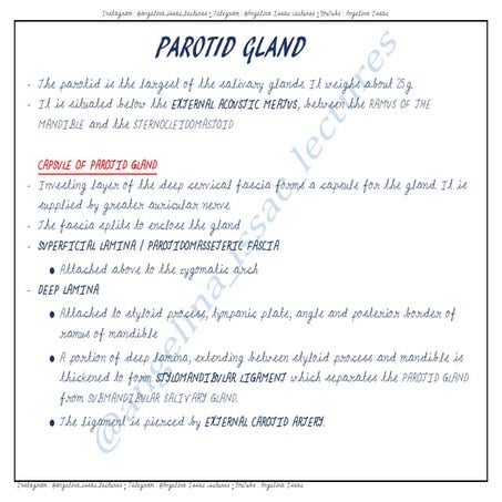 PAROTID GLAND ppt mbbs first year anatomy | PDF