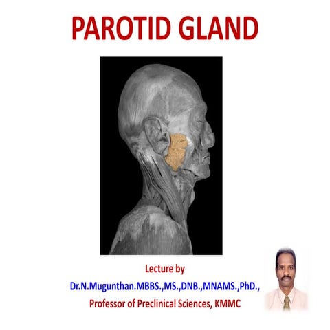 PAROTID GLAND -Prof.Dr.N.Mugunthan. Professor, Preclinical Sciences ...