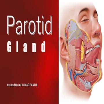 PAROTID GLAND Anatomy and their relations | PDF | Ear, Nose and Throat ...