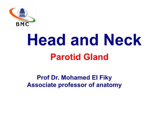 Surface marking Head Neck.ppt | Death, Injury, or Military Conflict | Sensitive Topics