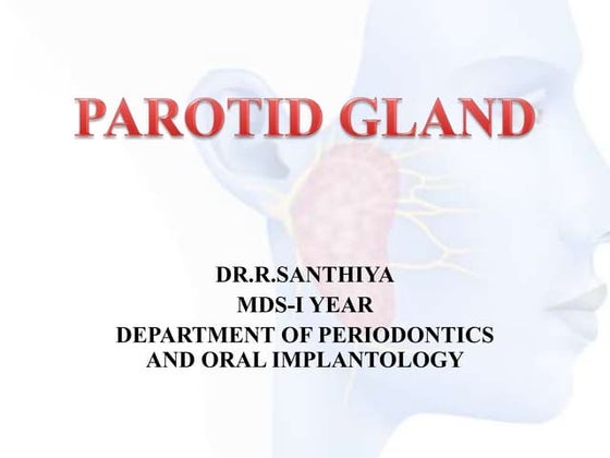 Anatomy of parotid gland | PPTX