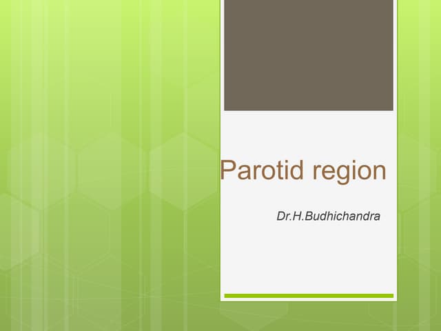 Parotid Gland Anatomy And Applied Aspects Pptx