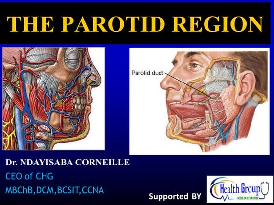 Anatomy of parotid gland | PPTX