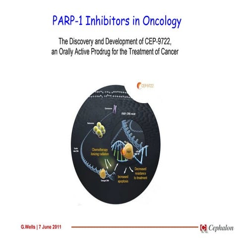 PARP-1 Inhibitors In Oncology | PPT