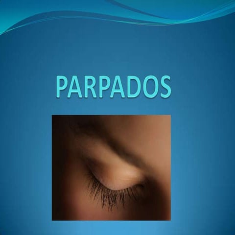 Anatomia del parpado | PPTX
