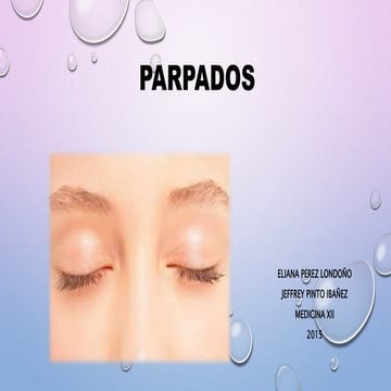 Anatomia del parpado | PPTX