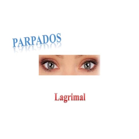 Parpado y larimal | PPTX