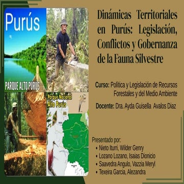 PARQUE NACIONAL ALTO PURUS, DERECHOS Y SANCIONES.pdf