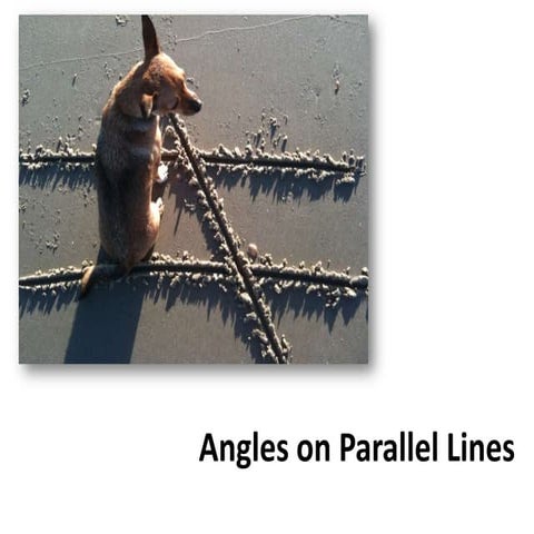 Parrallel lines | PPTX