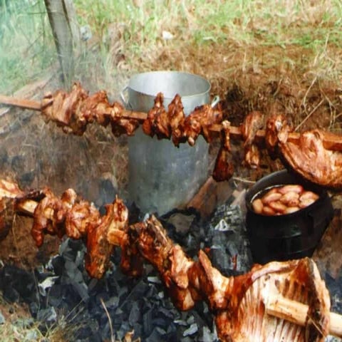 La parrilla de homero | PPTX